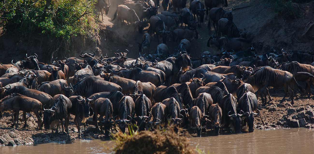 Arusha National Park - Blessing Safaris