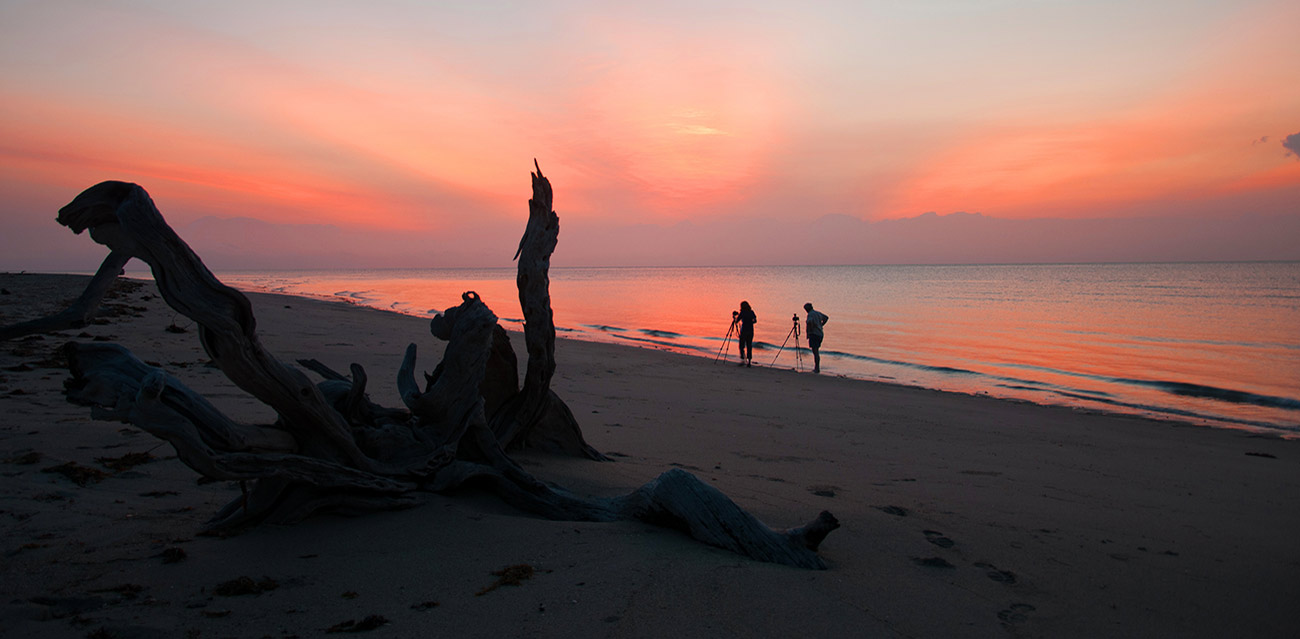 Saadani National Park