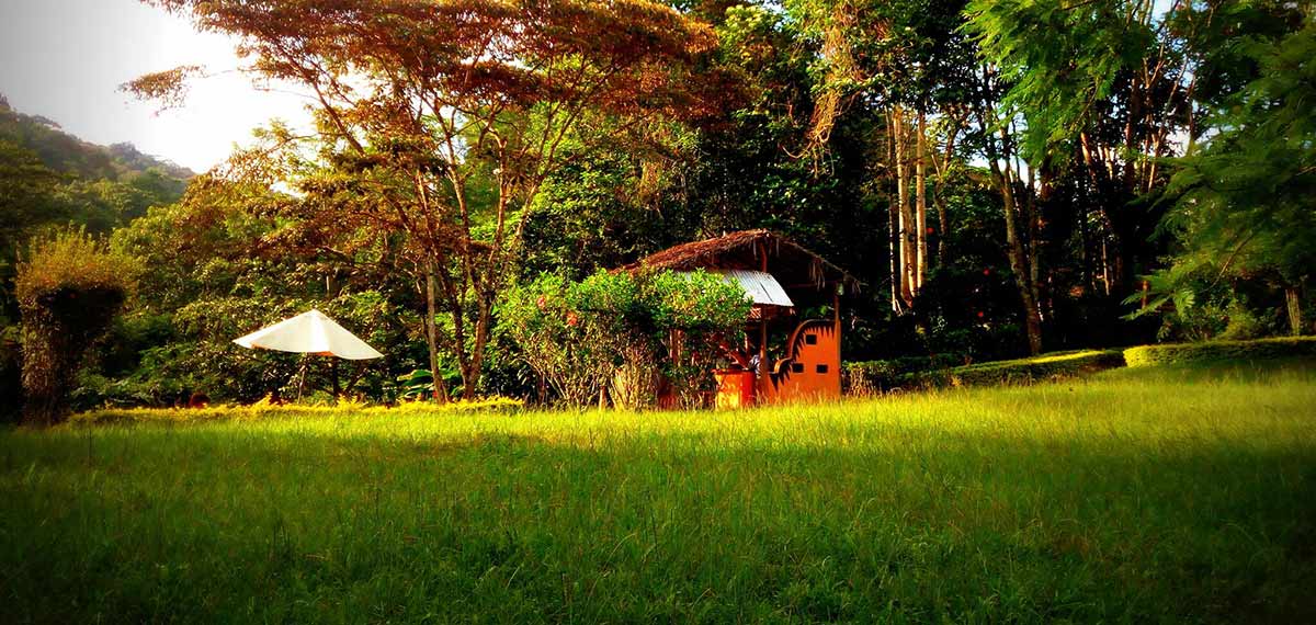 Amani Forest Camp - Blessing Safaris