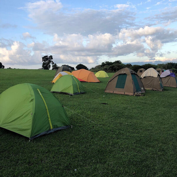 Simba Campsite Ngorongoro